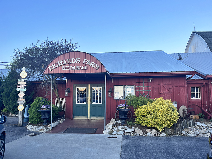 Richards Farm Restaurant isn't just farm-to-table; it's practically farm-at-table. This red barn houses comfort food that would make your grandmother both proud and suspicious.