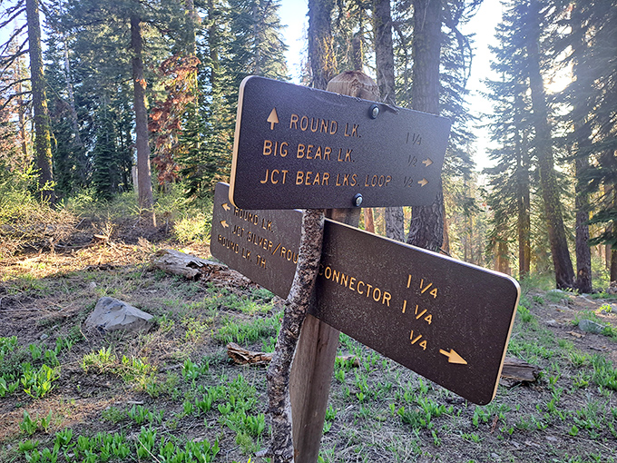 Trail signs that promise adventure in every direction. The hardest decision at Plumas-Eureka isn't which path to take, but how to fit them all in.