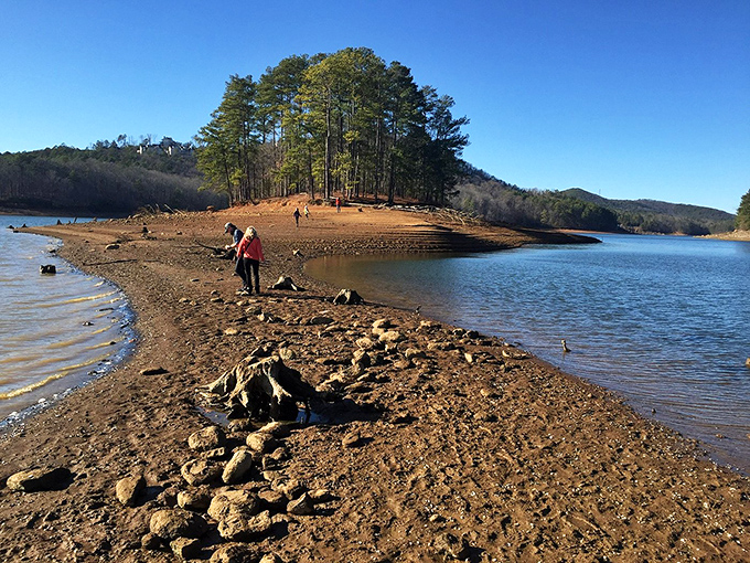 Nature's peninsula playground where Lake Allatoona meets red Georgia clay—the kind of shoreline that makes you forget deadlines exist.