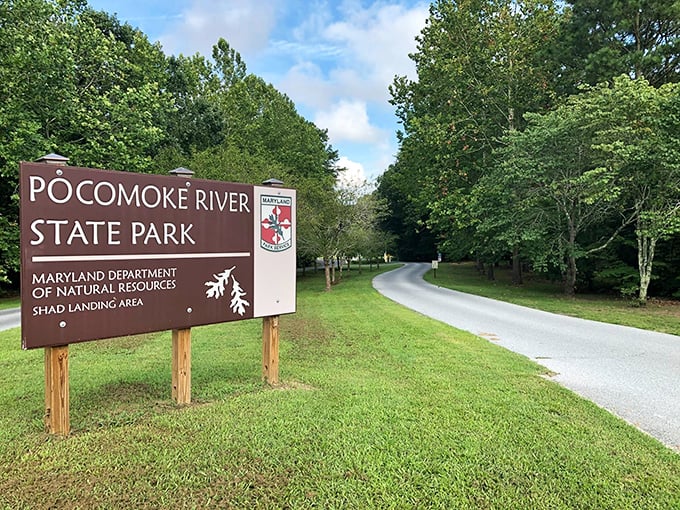 The entrance sign promises adventure, but doesn't spoil the plot. Like a good book, Pocomoke reveals its magic one page at a time.