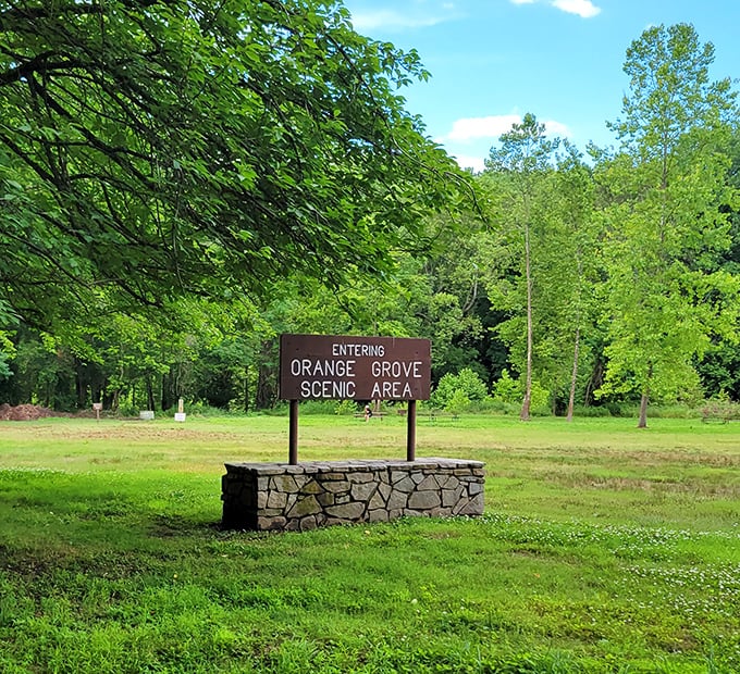 Nature reclaims what man abandons. The Orange Grove entrance sign stands as a deceptively peaceful gateway to one of Maryland's most mysterious locations.