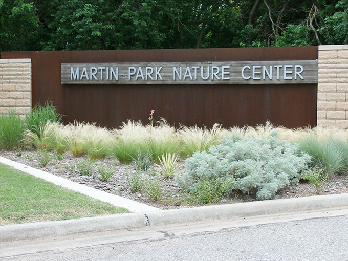 The gateway to adventure doesn't always look imposing. This thoughtfully designed entrance marks the boundary between ordinary and extraordinary.