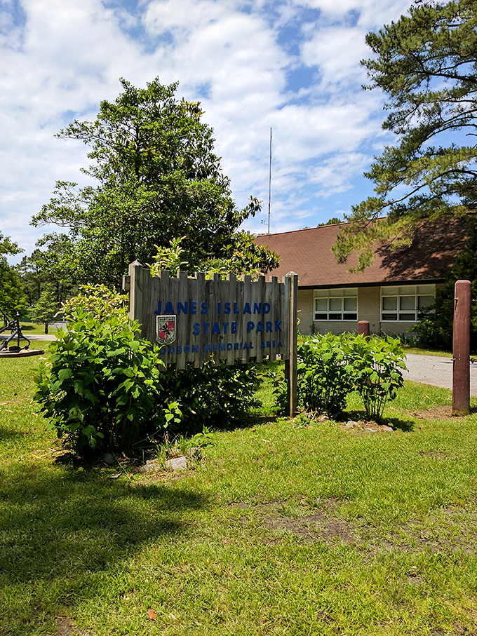 Nature's welcome sign, framed by greenery and sunshine. The park entrance promises adventures that no streaming service could ever deliver.