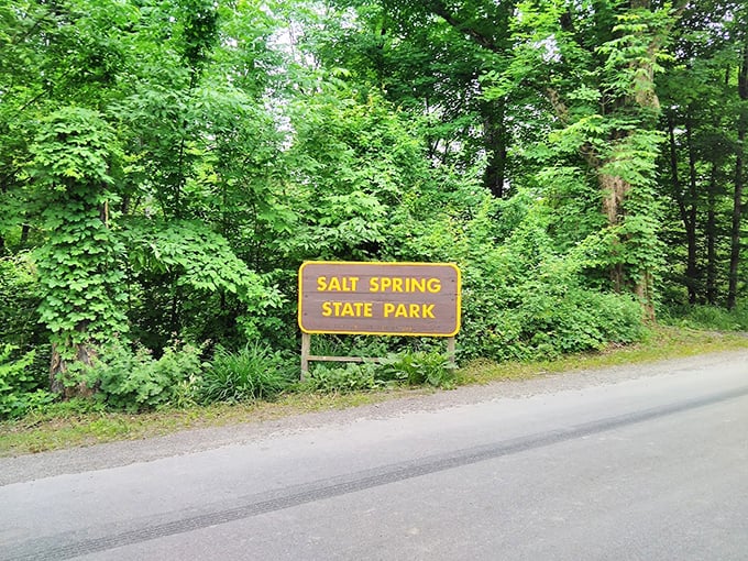 The unassuming entrance sign that promises little but delivers an entire world of natural wonders just beyond the tree line. 