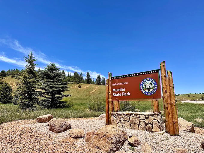 Nature's welcome mat doesn't get more inviting than this rustic entrance sign, standing sentinel before adventures that await beyond.