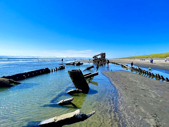 Nature's most photogenic shipwreck. The Peter Iredale's rusted skeleton has been posing for vacation photos since 1906, never complaining about the attention.