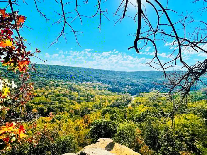 The reward for your hiking efforts: a breathtaking panorama of the Boston Mountains that stretches to forever, making you feel delightfully insignificant.
