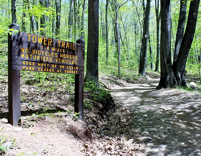 Like nature's doorbell, this sign announces your adventure's beginning. The Giant is home, and he's expecting company.
