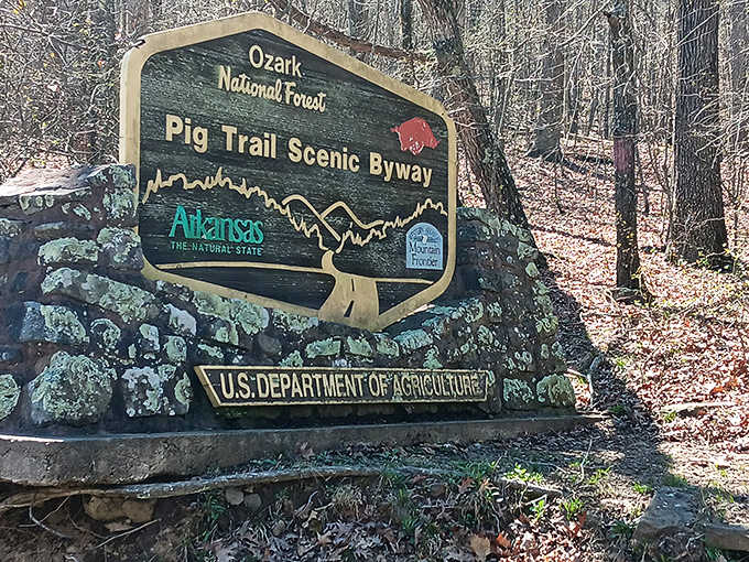 Not all treasures need a pirate map. This rustic sign marks the entrance to one of Arkansas's most breathtaking driving experiences.