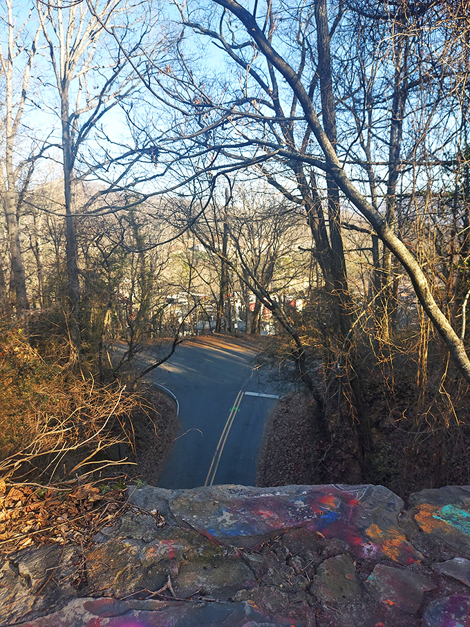 Winter's bare branches frame the winding road below, creating nature's version of a suspense film set. Even in daylight, you can feel the history.