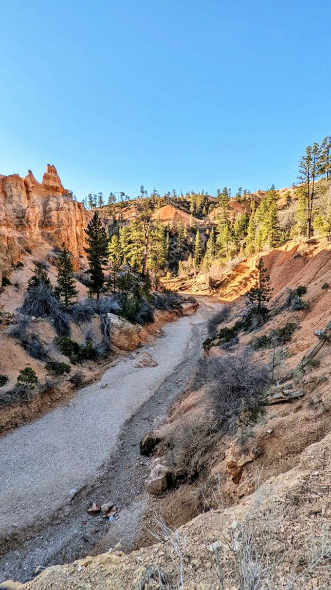 The same bridge from a different angle, proving that in Utah, even the approach to the main attraction deserves its own postcard.