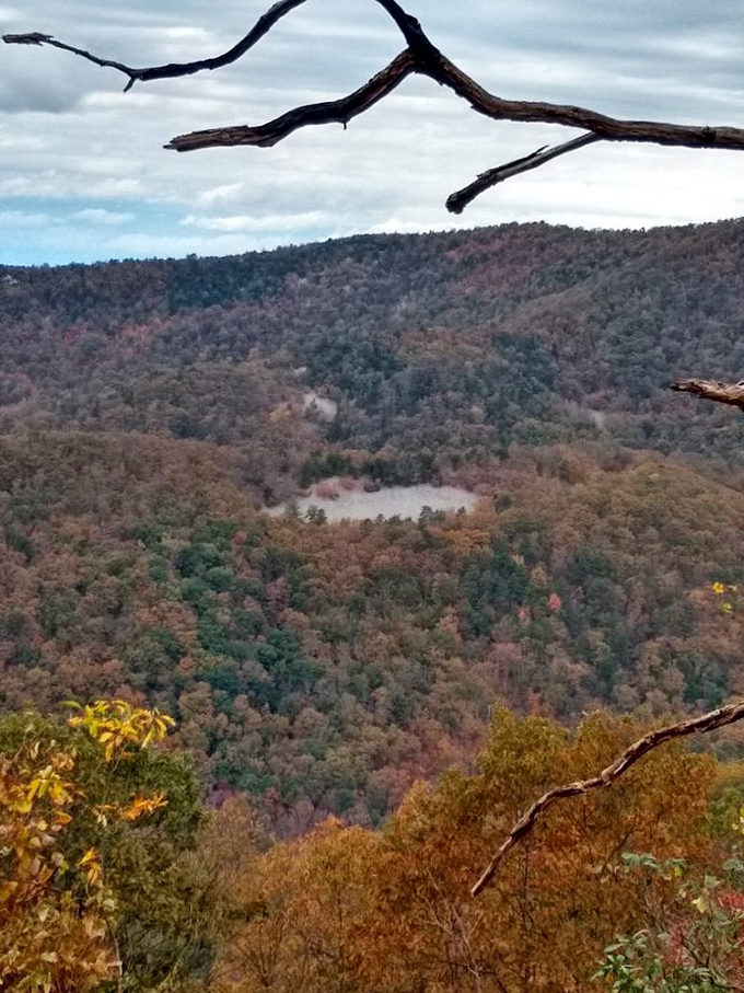 Nature's amphitheater stretches to the horizon, layers of blue mountains stacked like geological lasagna. The Shenandoah Valley puts on quite a show.