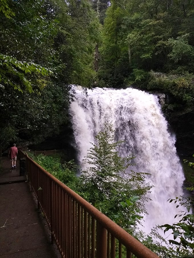 Mother Nature's ultimate shower installation. Standing near this powerful cascade, you'll feel the mist kiss your face from twenty feet away.