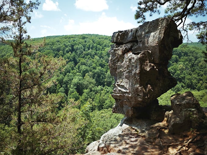 The iconic Hawksbill Crag juts dramatically into thin air, a geological marvel that's been tempting photographers and daredevils for generations.