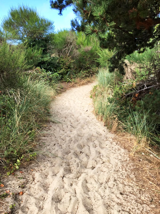 Nature's perfect welcome mat: a wooden sign framed by windswept dune grass announces your arrival at South Jetty Beach Parking #2. 