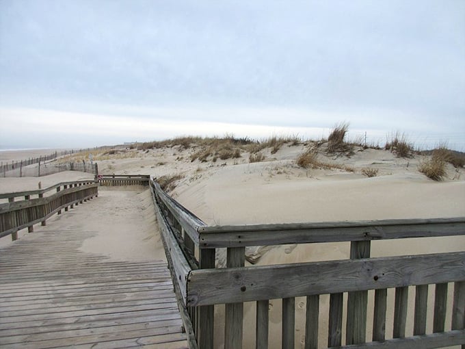 Nature's perfect staircase: weathered wooden boardwalks wind through protected dunes, offering that magical moment when the ocean first appears.