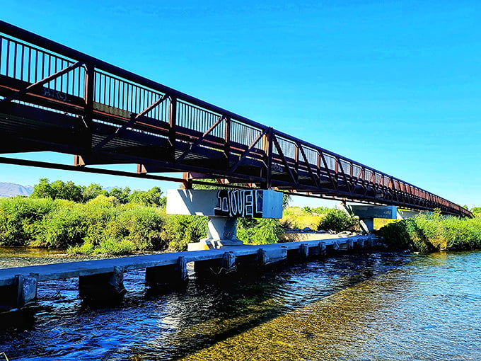 Engineering meets ecology at this stunning crossing. The bridge spans not just water, but connects visitors to a world where urban life dissolves into natural splendor.