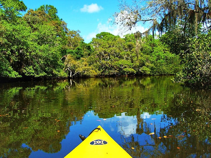 Gliding through mirror-like waters where the sky meets its reflection&mdash;this is Florida's version of meditation, no app required.