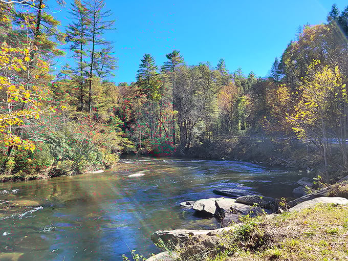Mother Nature's mirror game is strong here. The autumn colors reflecting in this peaceful creek make even professional photographers reach for their cameras.