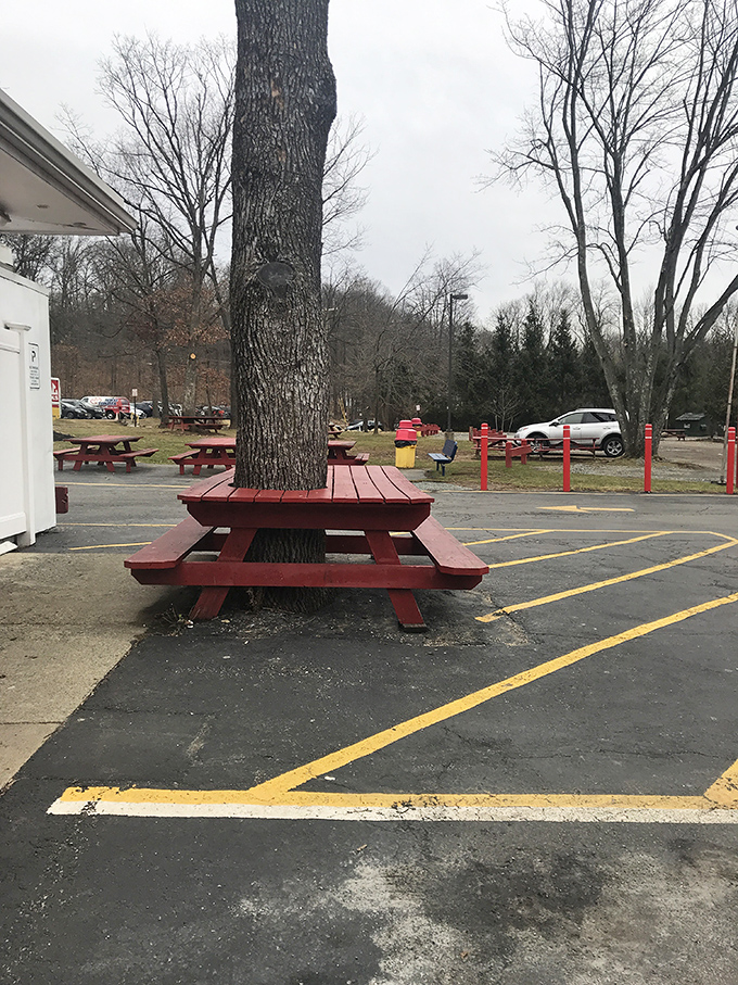 Nature has the right idea here. Building a picnic table around a tree provides shade for your ice cream emergency and proves New Jerseyans are smarter than your average bear.