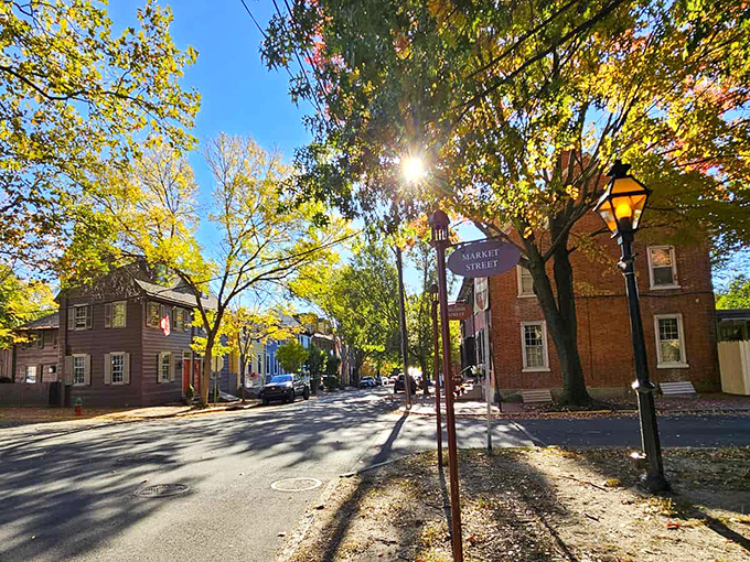 Market Street dappled in golden sunlight&mdash;where colonial America lingers so authentically you'll check your phone to make sure you haven't lost 300 years of signal.