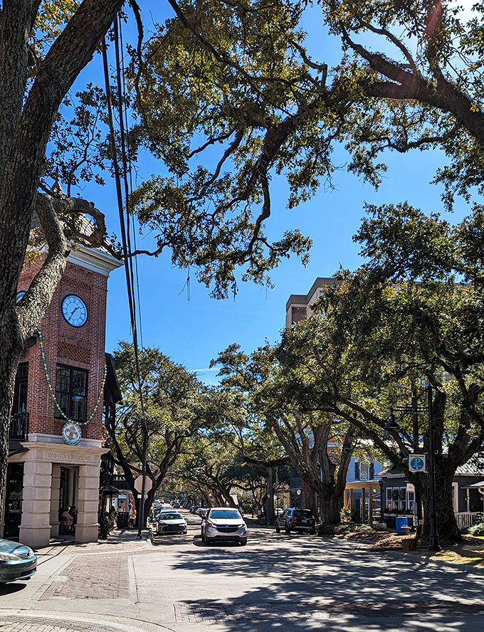 The iconic Ocean Springs-Biloxi Bay Bridge connects more than just two cities&mdash;it links spectacular views with your daily step count.