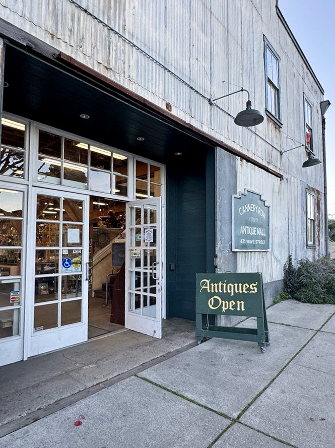 Push through these doors and prepare for temporal whiplash—you're about to embark on a journey that's part treasure hunt, part time travel, zero boring moments.