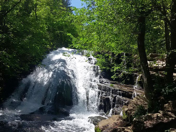 Mother Nature showing off her liquid architecture. The falls cascade down rock faces with the kind of drama usually reserved for Hollywood blockbusters.
