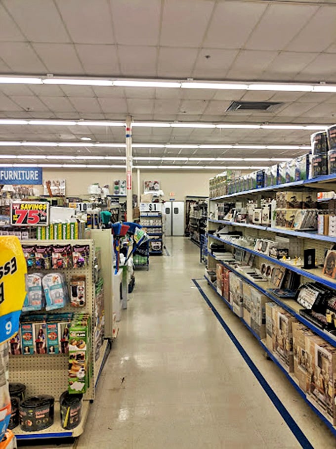 Aisles that stretch like possibilities. The clean, organized layout makes treasure hunting a breeze rather than an expedition.