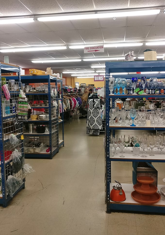 Aisles that seem to multiply the deeper you venture, with glassware collections that would make any dinner party enthusiast weak in the knees.