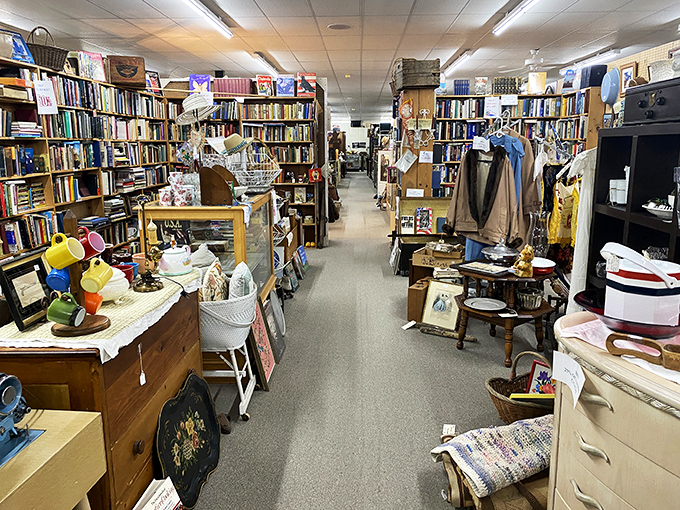 Aisles that seem to stretch into infinity, lined with stories waiting to be discovered. Like a library where you can take home more than just the books.