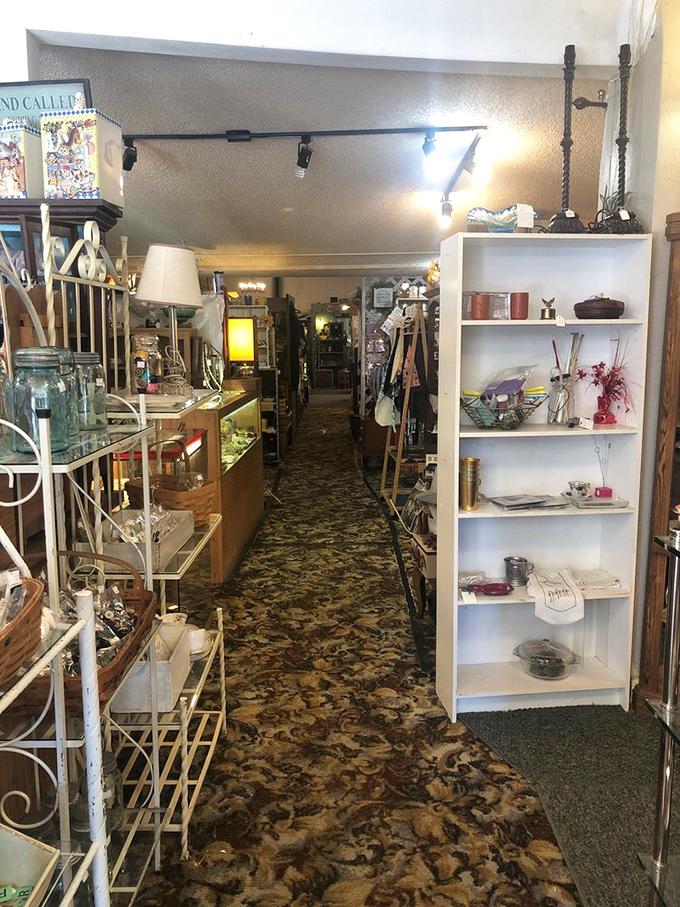 Down the rabbit hole you go! Narrow aisles lined with curiosities beckon explorers to venture deeper into this wonderland of collectibles.