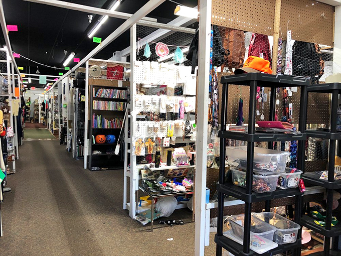 Every aisle promises adventure. This indoor expedition requires comfortable shoes and a willingness to discover what you never knew you needed.