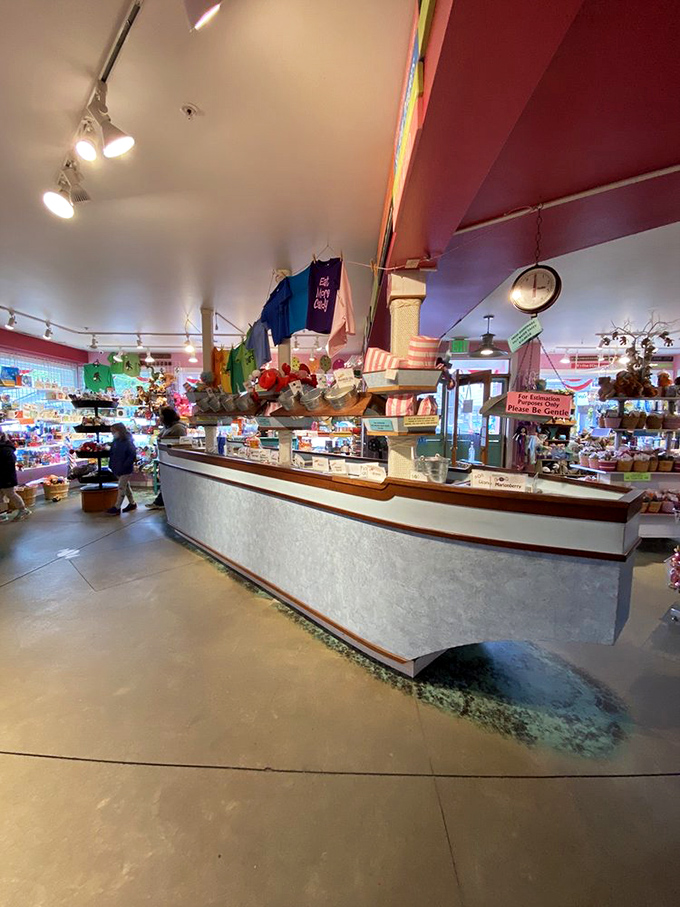 Navigate this sweet labyrinth with the wide-eyed wonder of a first-timer, where the counter beckons like a passport control to Flavortown.