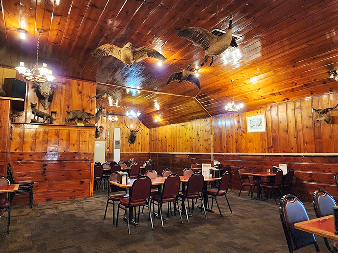 The rustic wooden reception counter welcomes diners with old-school charm &ndash; no fancy digital displays here, just genuine hospitality and shelves of curiosities.