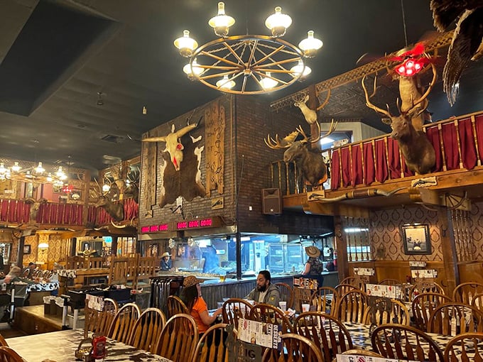 Inside, it's a taxidermist's greatest hits album—wagon wheel chandeliers illuminate enough mounted wildlife to fill a small national park.