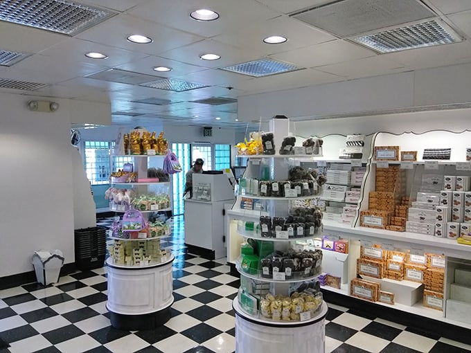 That black and white checkered floor isn't just design&mdash;it's a time machine transporting you back to simpler days when treats came with service and smiles.