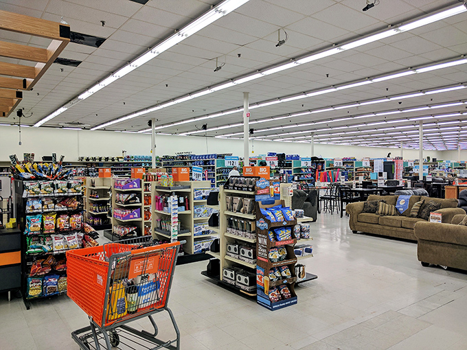 Aisles that stretch toward retail infinity, where one person's closeout becomes another's "I can't believe I found this!" moment.