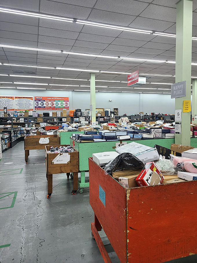 Welcome to retail archaeology at its finest. Colorful bins await explorers brave enough to dig for discounted gold.