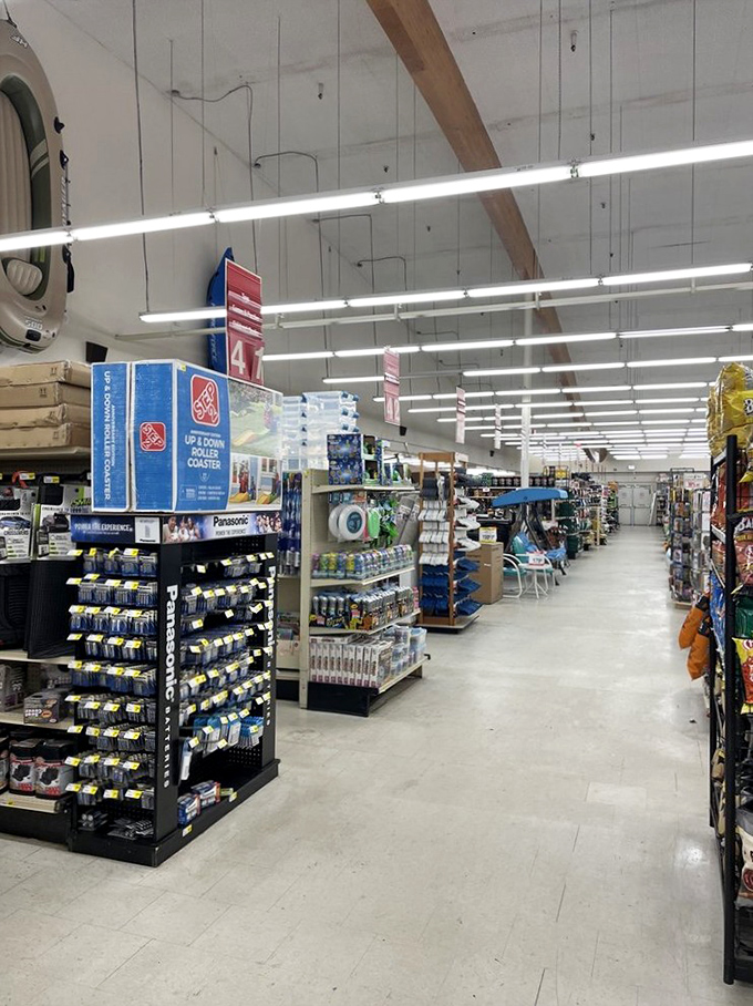 Furniture aisle 44 showcases practical dining sets and outdoor chairs. The no-frills approach means your wallet stays as comfortable as that patio furniture. 