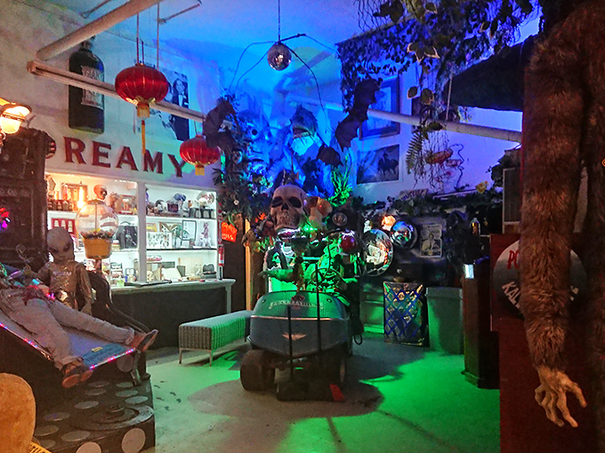 Step inside and be transported to a neon-lit wonderland where monsters, aliens, and oddities compete for your attention.