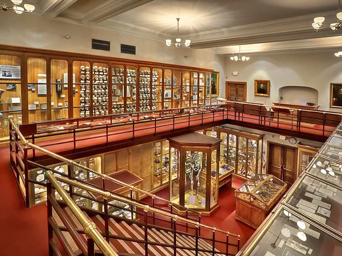Victorian elegance meets scientific inquiry in this two-story gallery where mahogany cases house centuries of medical mysteries beneath warm chandelier light. 
