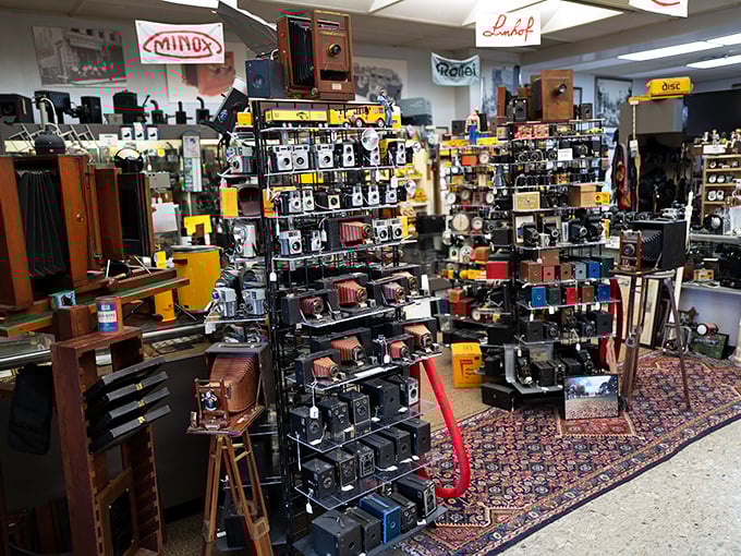 Camera heaven exists, and it's crammed into this delightfully chaotic space where every shelf tells stories of how we've captured our world for generations.