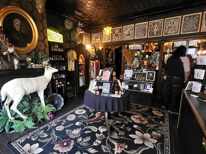 Step inside and time warps &ndash; ornate tin ceilings, vintage display cases, and a white taxidermied deer standing sentinel over treasures that would make Edgar Allan Poe feel right at home.