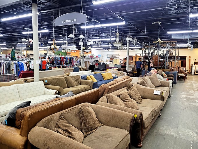 A sofa safari stretches before you, each cushioned island telling its own story of family movie nights and afternoon naps past.