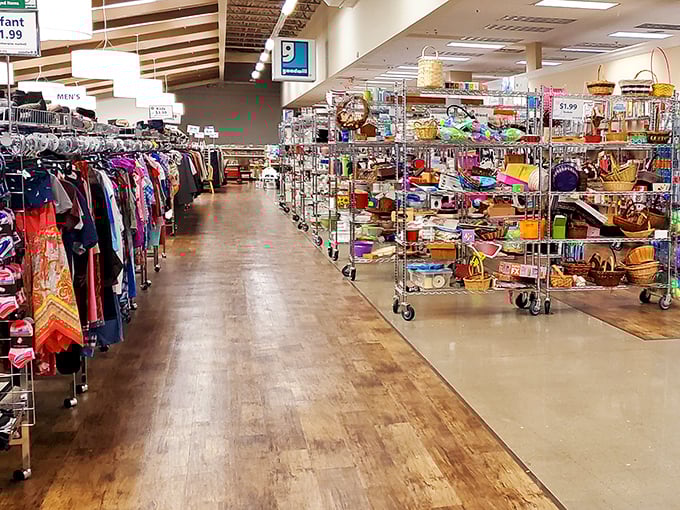 Aisles of possibility stretch before you like the yellow brick road. Each rack holds someone else's past waiting to become part of your future.