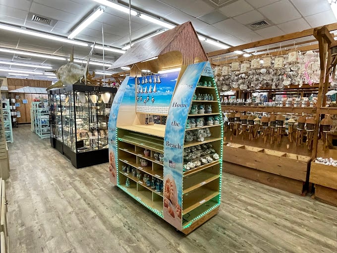 Shell heaven awaits! This treasure trove of oceanic souvenirs ranges from massive conch shells to delicate sand dollars, each promising to collect dust beautifully on your bookshelf for decades. 