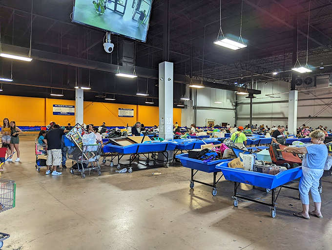 Blue bins as far as the eye can see, each one a miniature archaeological dig where yesterday's castoffs await their second chance at usefulness.