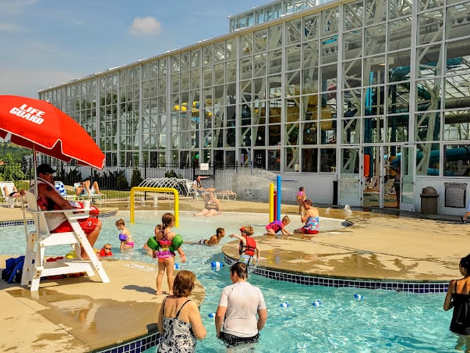 Nothing says "parental victory" like finding a shallow splash zone where the lifeguard-to-toddler ratio approaches 1:1. Summer fun with training wheels.