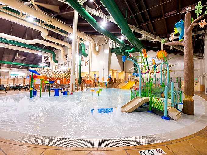 Lily pad crossing challenges even the most coordinated adults. Nothing humbles you faster than watching a five-year-old breeze across while you're clinging for dear life.